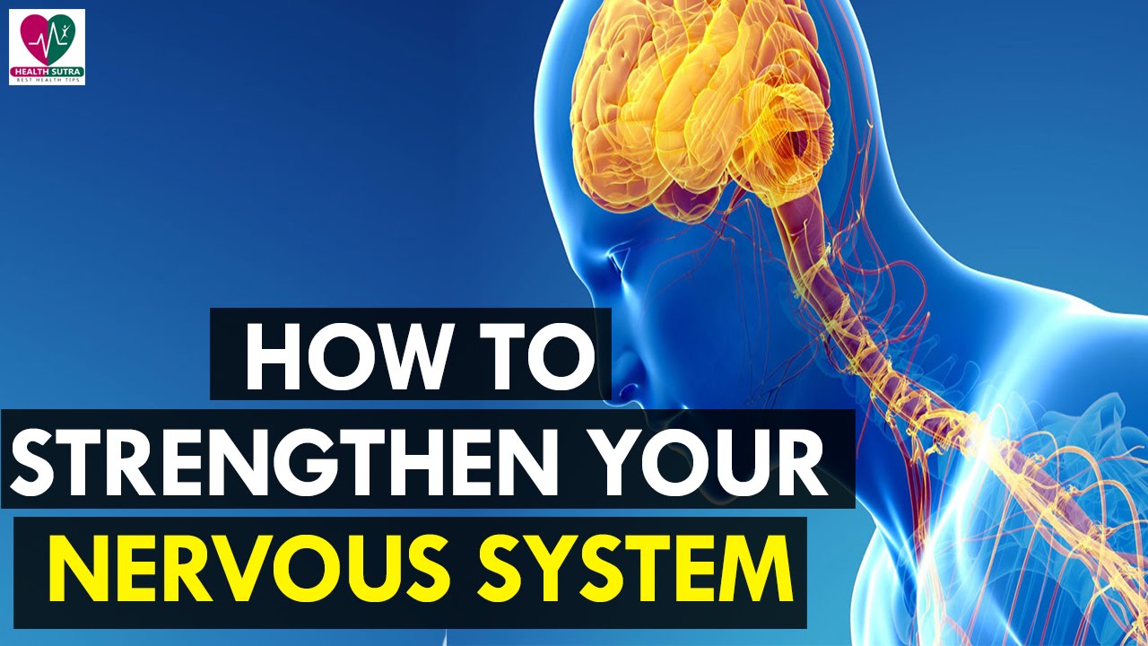 how-to-strengthen-your-nervous-system-health-sutra-cookeryshow